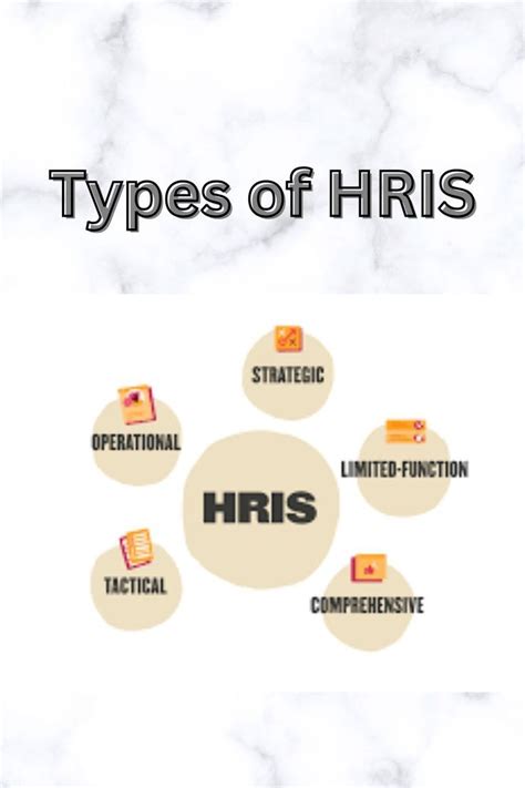 The Different Types Of HRIS