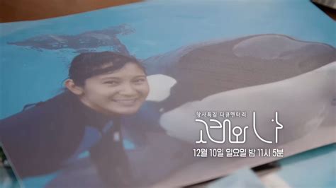 12월 10일 예고 고래의 삶과 죽음 그리고 남겨진 것들 고래와 나의 마지막 이야기 고래와나 Sbsstory Youtube