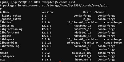Segmentation Fault When Running Parallel On Server With Slurm Gulp