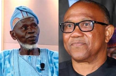 Lp Crisis Lamidi Apapa Insists Inec Will Recognize His Candidates
