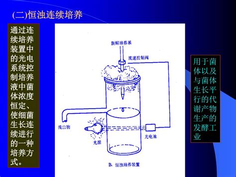 Ppt 第六章 微生物的生长繁殖 及其控制 Powerpoint Presentation Id6197341
