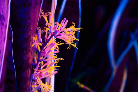 Ai Generated Android Apps The Good The Bad And The Shocking By Elye A Dev By Grace