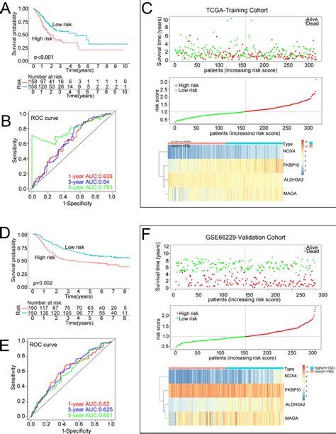 Assessing The Performance Of The Prognostic Risk Model In The Training