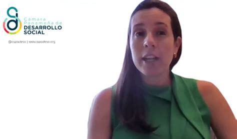 Diagnóstico De Las Organizaciones Sin Fines De Lucros En Panamá Fglg