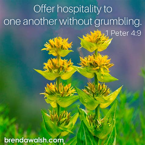 Humble Hospitality Brenda Walsh Scripture Images