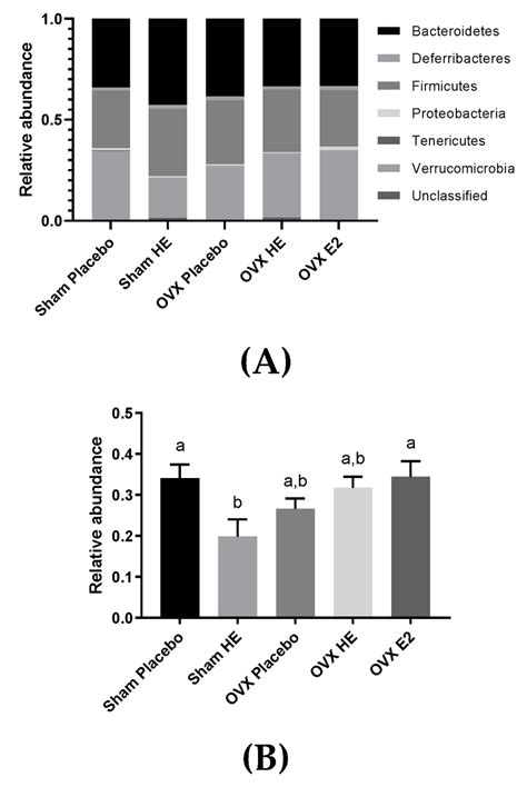 A Relative Abundance Of Bacterial Phyla In The Cecum B Microbial Download Scientific