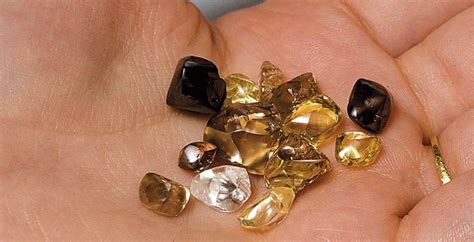 Búsqueda de diamantes en el Crater of Diamonds Instituto Gemológico