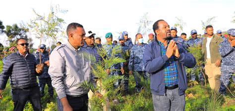 የኢትዮጵያ ፌደራል ፖሊስ አመራርና አባላት በአንድ ጀምበር የአረንጓዴ አሻራ መርሃ ግብር አሻራቸውን አኖሩ