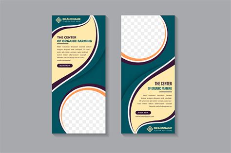 녹색 롤업 비즈니스 브로셔 전단지 배너 디자인 수직 템플릿 벡터 0명에 대한 스톡 벡터 아트 및 기타 이미지 0명 갈색 개념 Istock