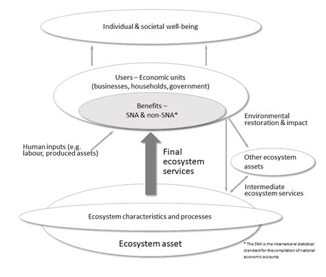 Accounting I Leibniz Institute Of Ecological Urban And Regional Development