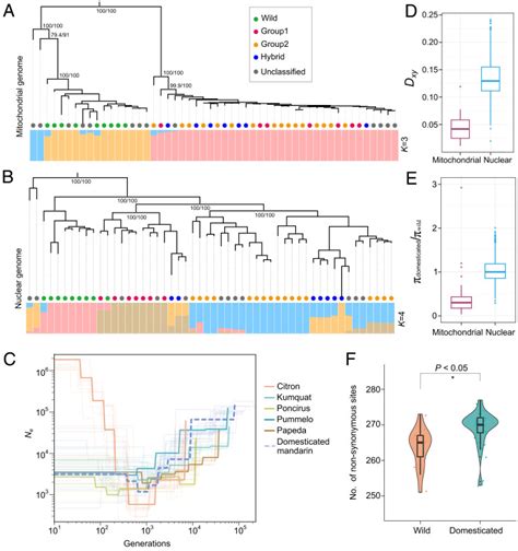 Pan Mitogenomics Reveals The Genetic Basis Of Cytonuclear Conflicts In