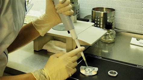 Un Médico Insemina A Sus Pacientes Con Su Propio Semen Por Falta De