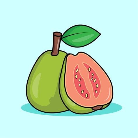 구아바 프리미엄 벡터