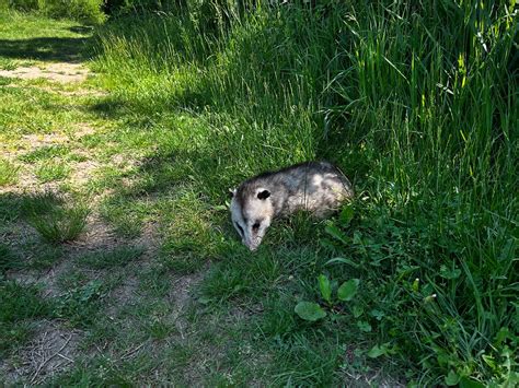 Haskell Greenhouse Lawrence Ks
