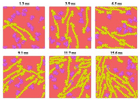 The Process Of The Fibrinogen Replacing The Albumin On The Plane