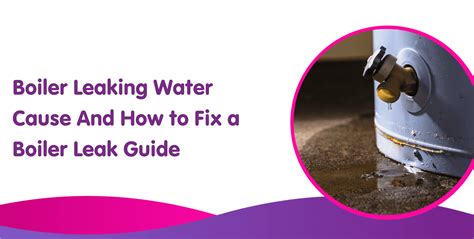 Why Is My Boiler Leaking Water From The Bottom At Edward Spraggins Blog