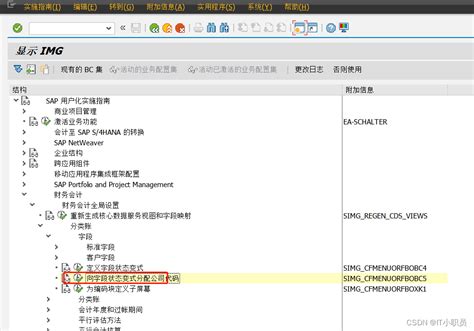 Sap S4 Fi 后台详细配置教程文档 Part2 （财务会计的基本设置篇） Sap辅助核算字段 Csdn博客