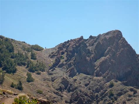 Sonora Pass Pct North Carson Iceberg Wilderness Teds Outdoor World