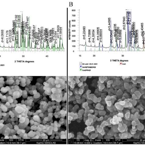 Designed Triply Periodic Minimal Surfaces And Functionally Graded