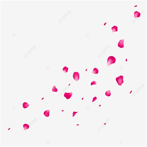Floating Rose Petals Png Image Pink Floating Rose Petals Floating