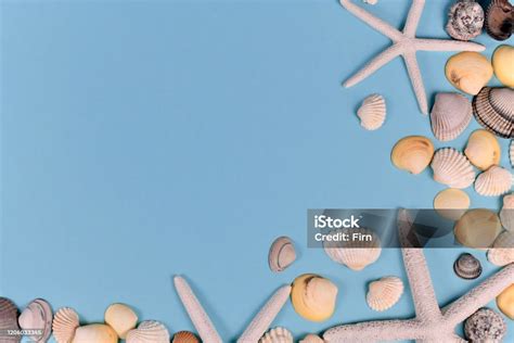 빈 복사 공간이있는 밝은 파란색 배경에 흰색과 크림 색의 불가사리와 조개가있는 바다 배경 0명에 대한 스톡 사진 및 기타 이미지