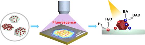 Rapid Identification Of Efficient Photocatalysts By Visualizing The Spatial Distribution Of