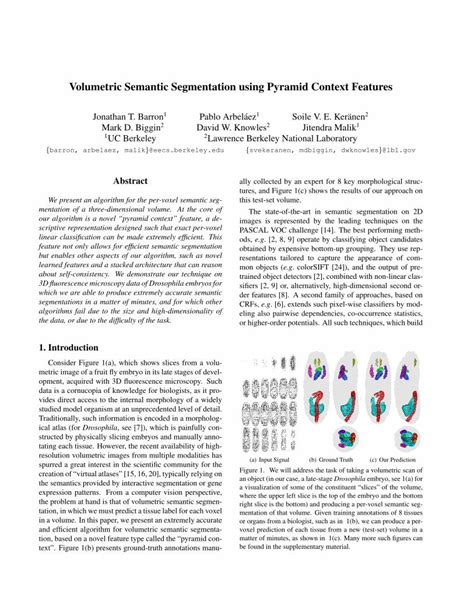 Pdf Volumetric Semantic Segmentation Using Pyramid Context