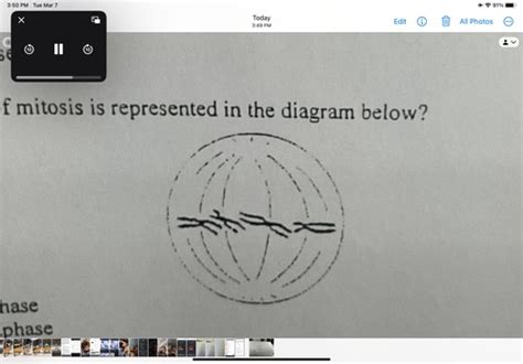 Biology 3201 Chapter 12 Multiple Choice Questions Flashcards Quizlet