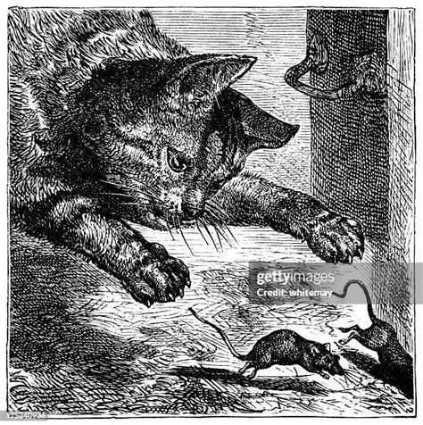 Cat Chasing Mouse Drawing
