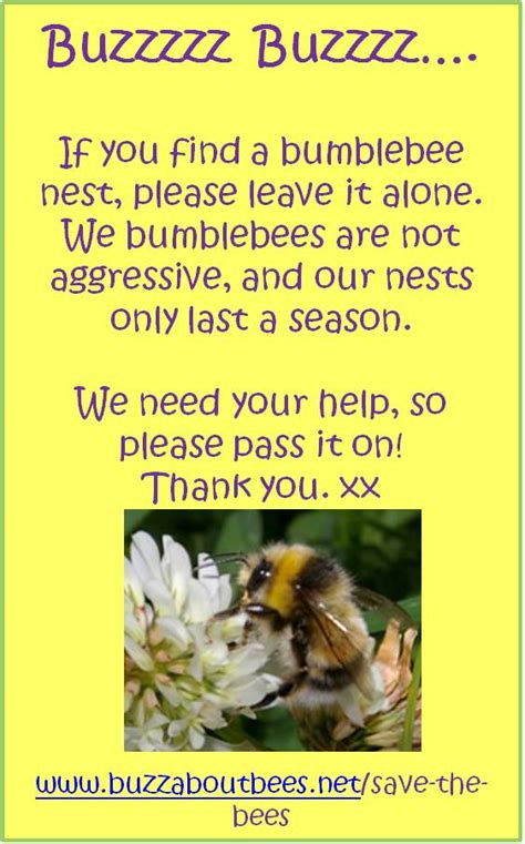 Save The Bees