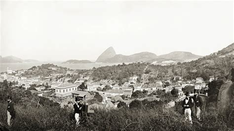 Part Of The Ims Digital Collection Is Available For Download In The Public Domain Archyde