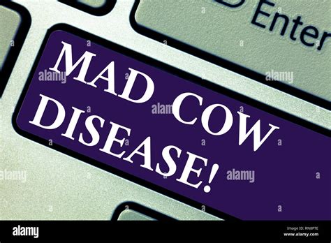 Word Writing Text Mad Cow Disease Business Concept For