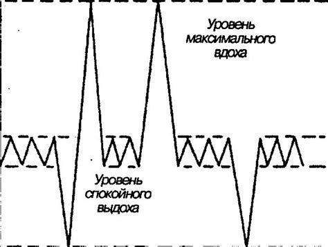 Вентиляция легких и легочные объемы