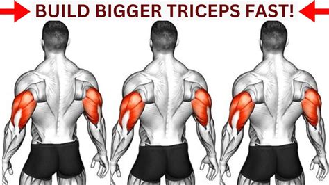 How To Build Bigger Triceps Fast Triceps Workout At Home Youtube