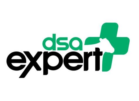 DSA Expert DSAHR