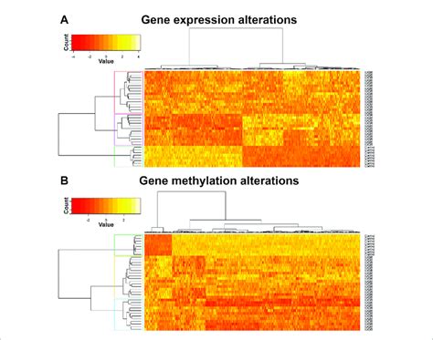 Hierarchical Clustering Of Samples Gene Expression A And