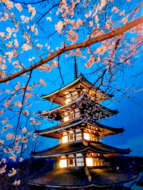 名所・名木が点在する二本松で春爛漫の桜さんぽ♪ 岳温泉観光協会公式サイト
