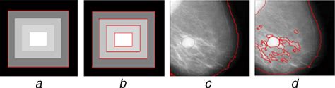 segmentation results of images with multilayers a raw image b result c