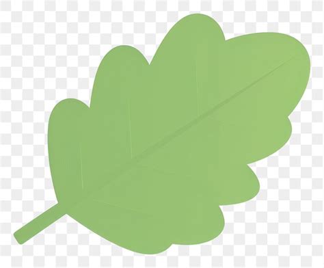 Tree Vector PNG Images Free Photos PNG Stickers Wallpapers Backgrounds Rawpixel