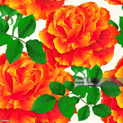 원활한 텍스처 꽃 오렌지 장미 줄기 편집 가능한 도자기 빈티지 벡터 일러스트 빈티지 균열 금이 간에 대한 스톡 벡터 아트 및