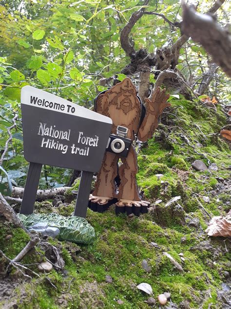 Not Deer Appalachian Cryptid Story Rcryptids