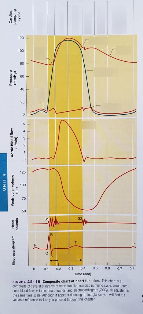Heart Function Graph Parts Diagram Quizlet