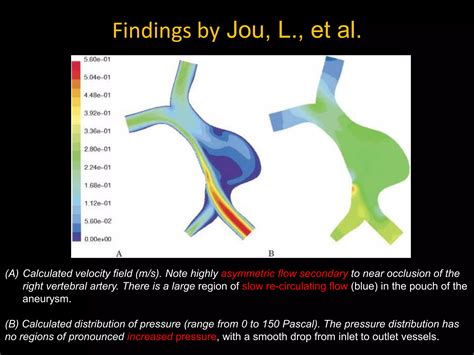 3d Cfd Simulation Of Intracranial Aneurysm Pptx