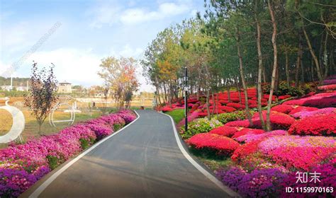 林下花镜主题公园杜鹃园效果图免抠下载【id1159970163】undefined