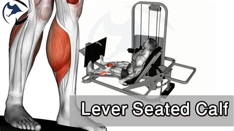 How To Lever Seated Calf Press Calves Calf Youtube