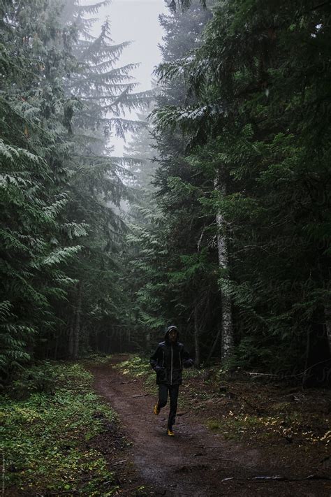 Running In The Woods Del Colaborador De Stocksy Matthew Linker