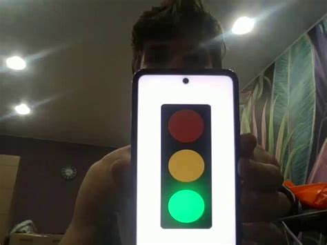 Красный и зеленый цвет Object Detection Dataset By Objectdetectionarena