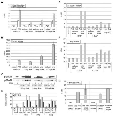 Viral 5 9 Triphosphate Rna Efficiently Induces Socs 3 Expression Total Download Scientific