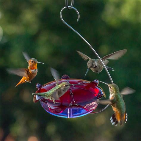 Bird Water Feeders For Cage Birdcage Design Ideas