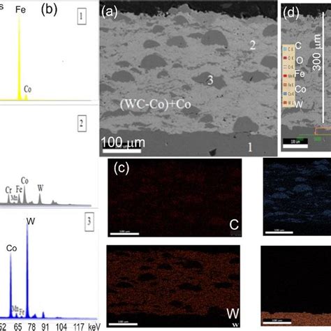 A Scanning Micrographs Of The Composite Coating Wc Coco Deposited Download Scientific